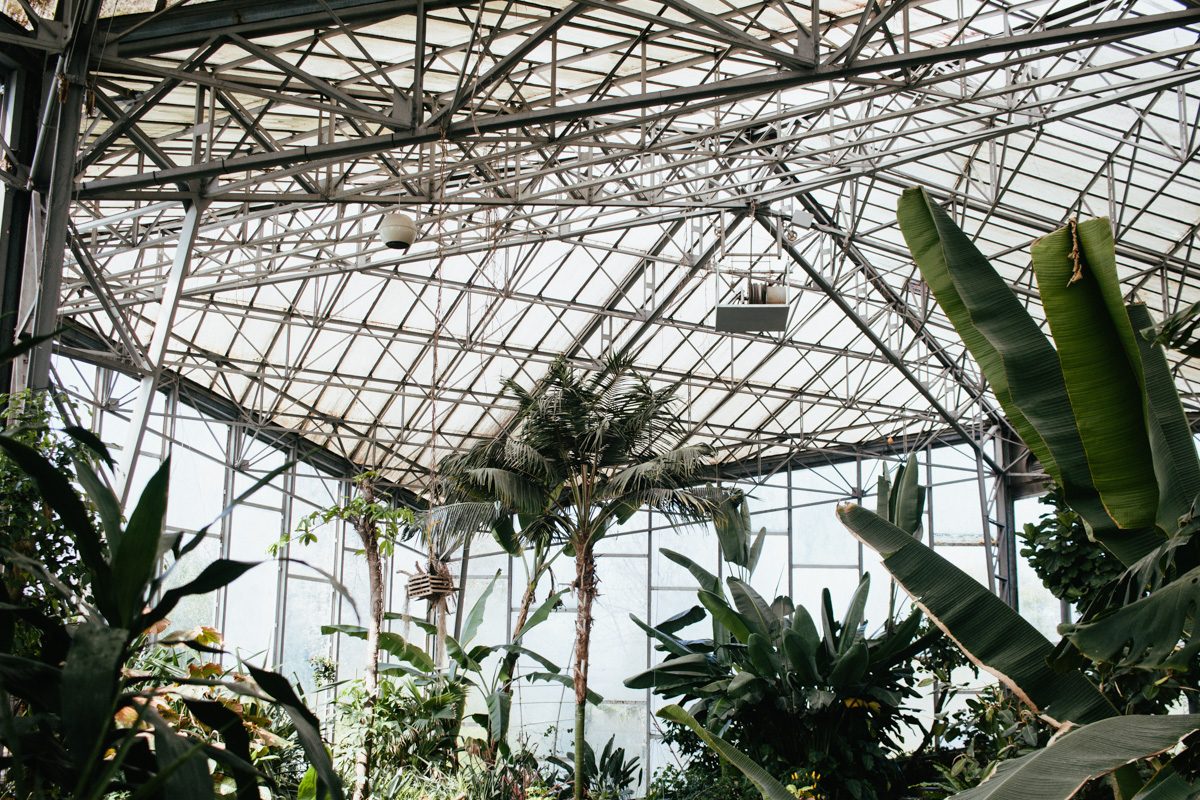 Visite urbaine - Nature et urbanisme à Lille (Sud) - WAAO